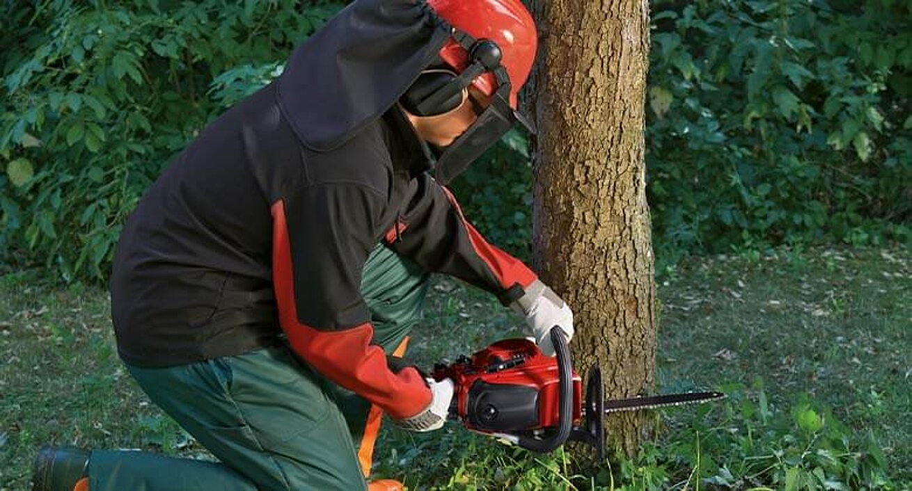 Buy powerful chainsaws from Einhell | Einhell.co.th
